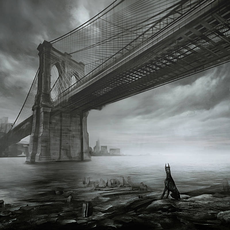 knight-errant - Naomi Chen - portfolio